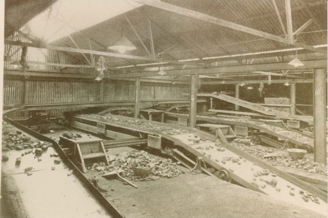 Timeline | Black to Green