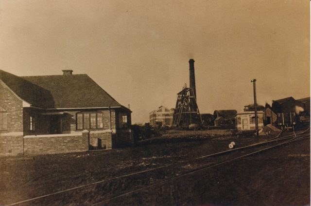 Timeline | Black to Green