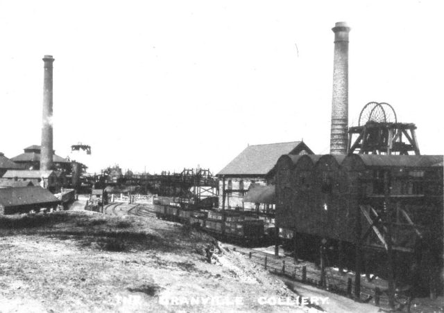 Timeline | Black to Green